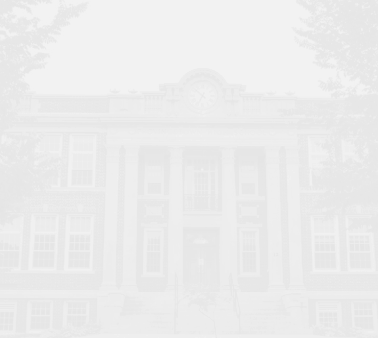 Rise Group | Portfolio